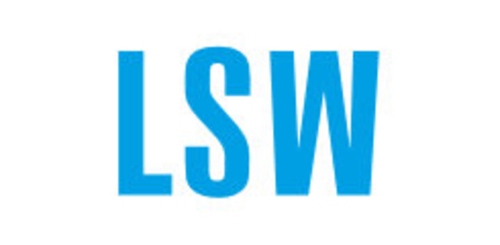 WSM Wolfsburg: WSM